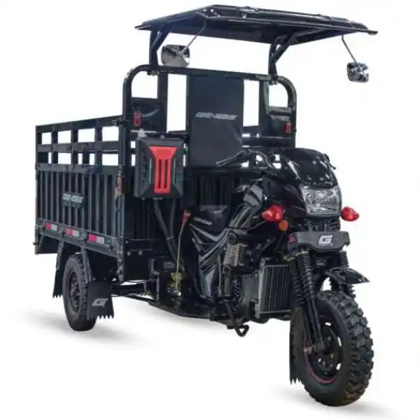 Descubre la Moto Carga Genesis MC-300.